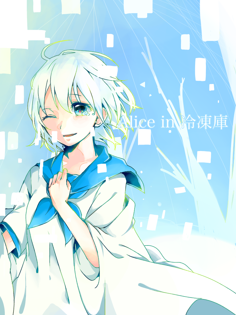 Alice in 冷凍庫 - ibisPaint