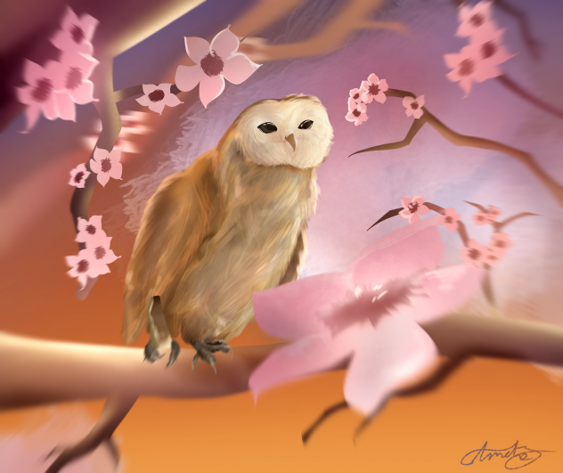 Barn Owl at Dawn🌸 - ibisPaint