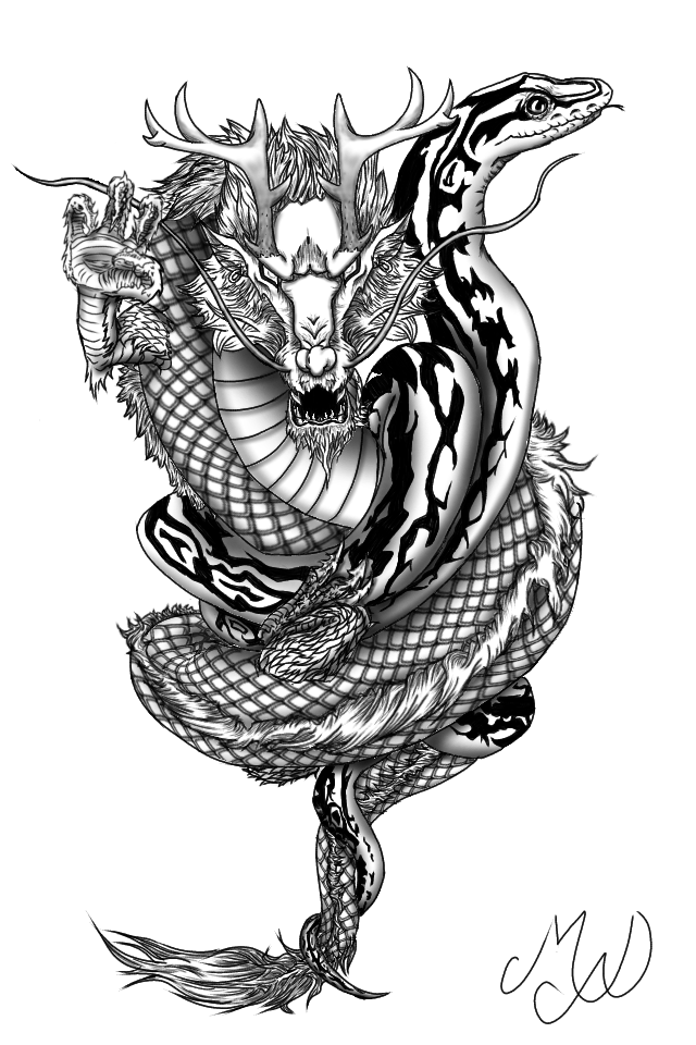 dragon and snake - ibisPaint