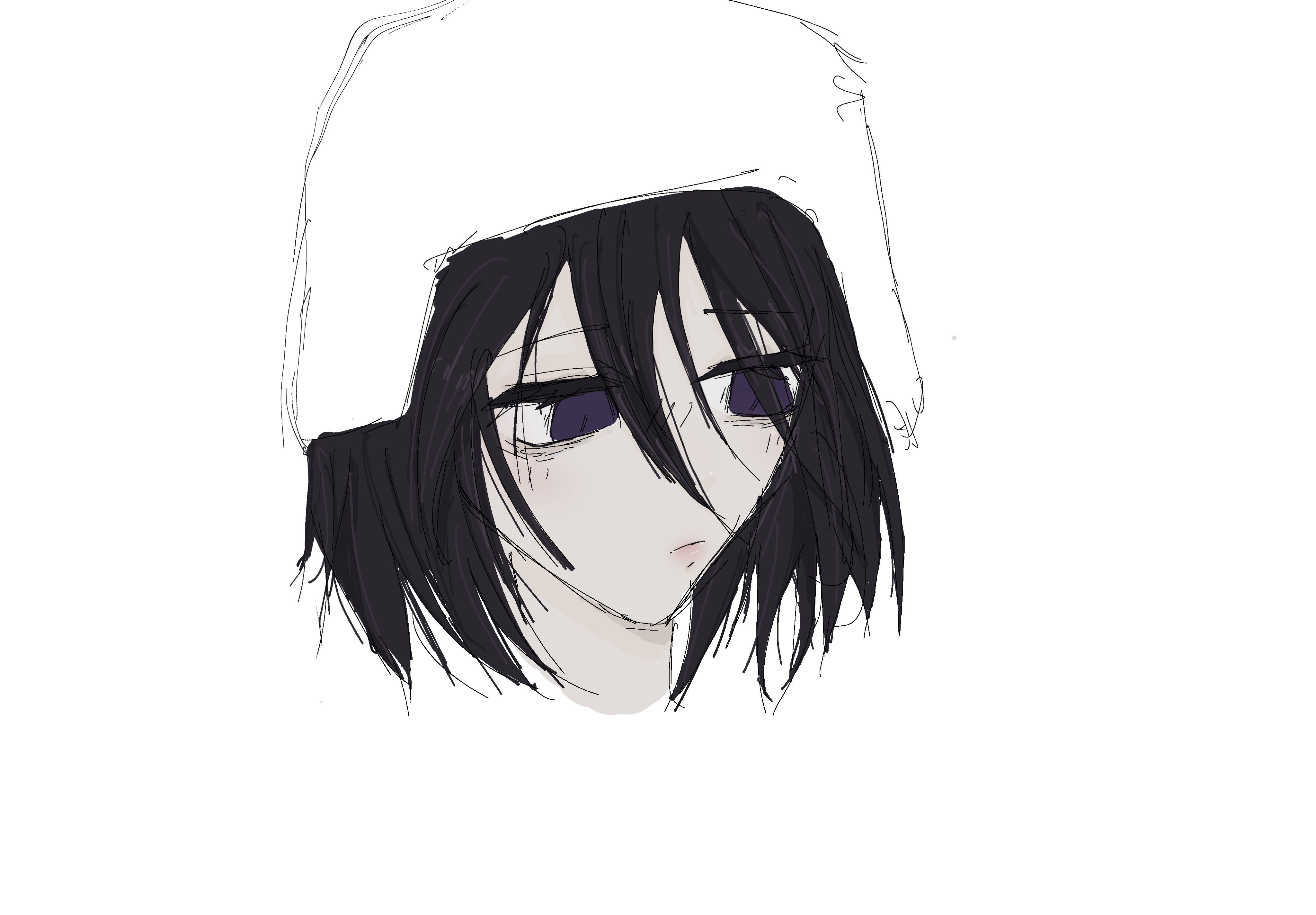 fyodor - ibisPaint