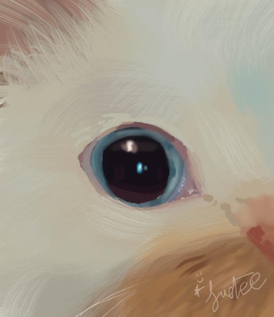 STARING☆°°°°°° - ibisPaint