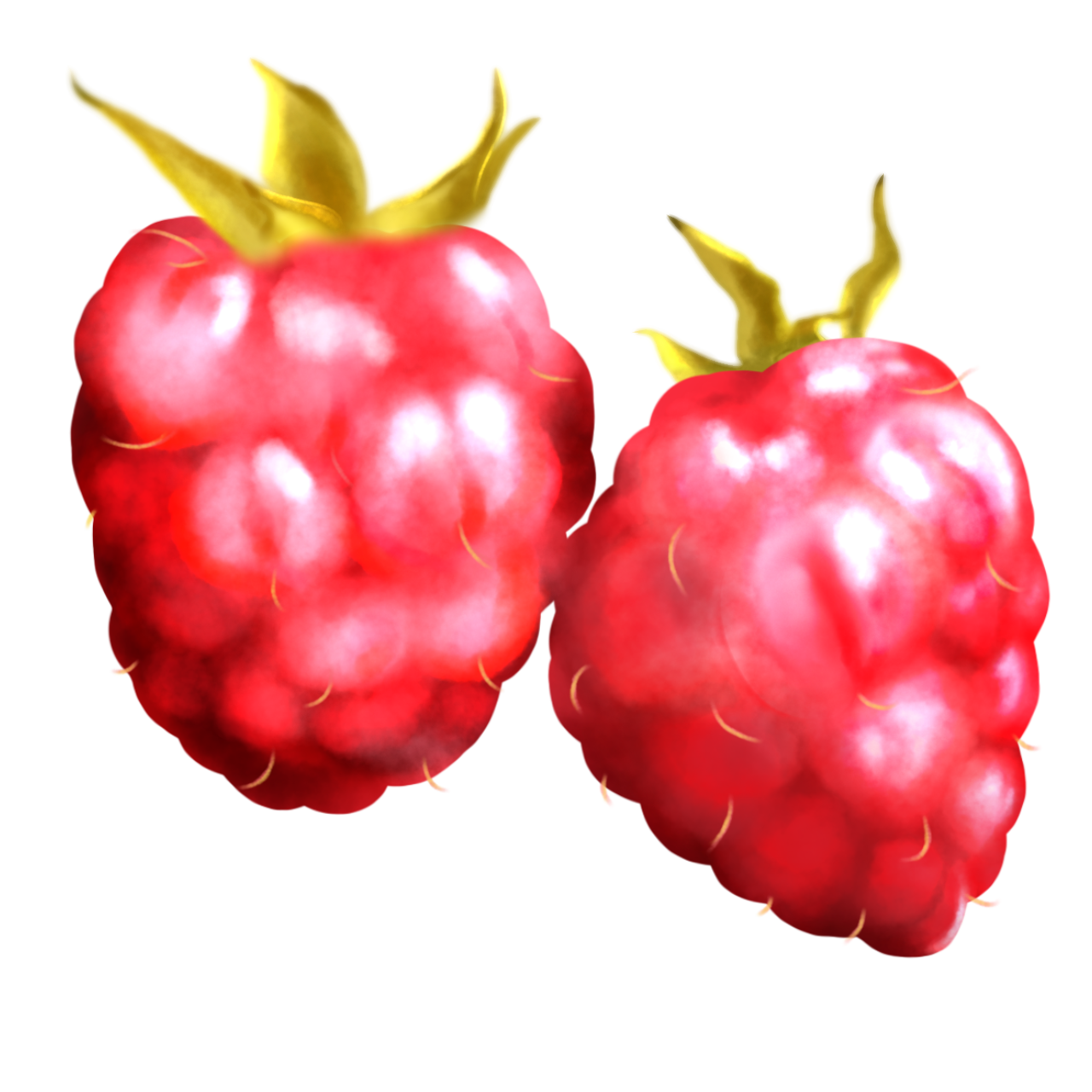 Raspberry - ibisPaint