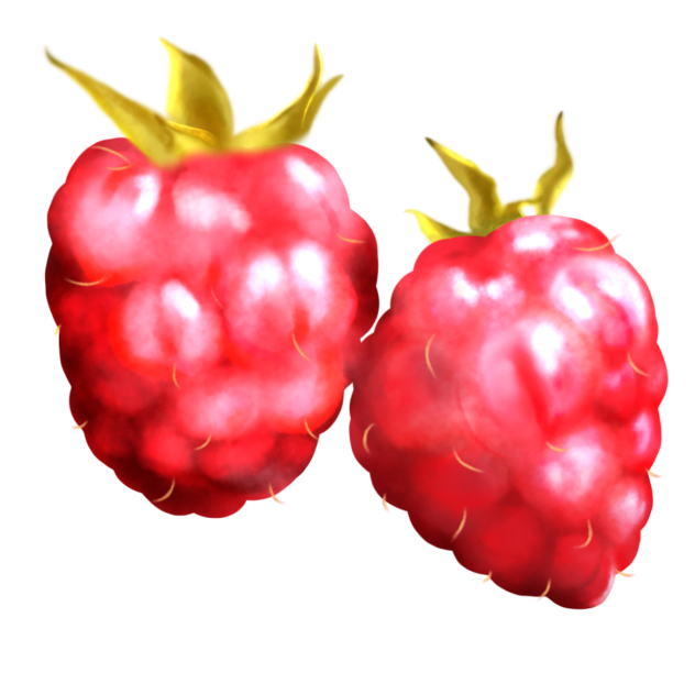 Raspberry - ibisPaint