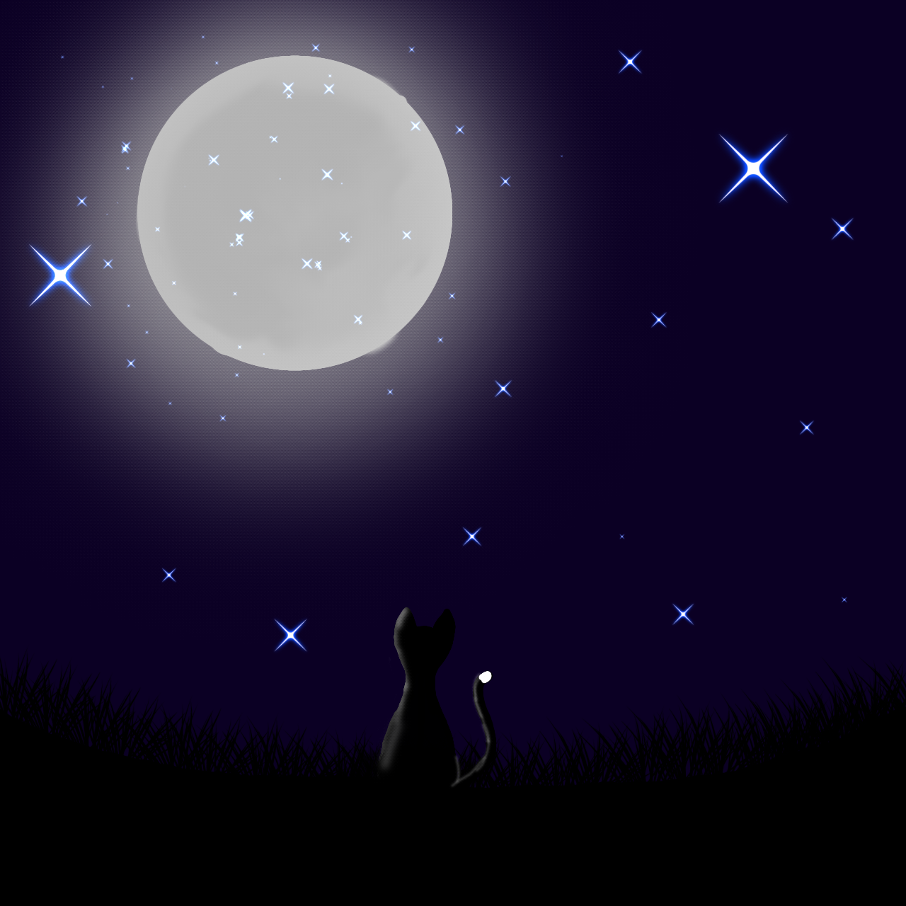 moonlight - ibisPaint
