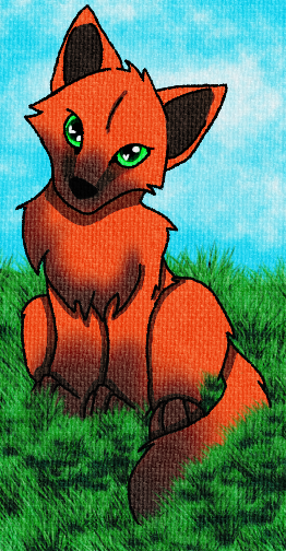 red fox in the meadows - ibisPaint