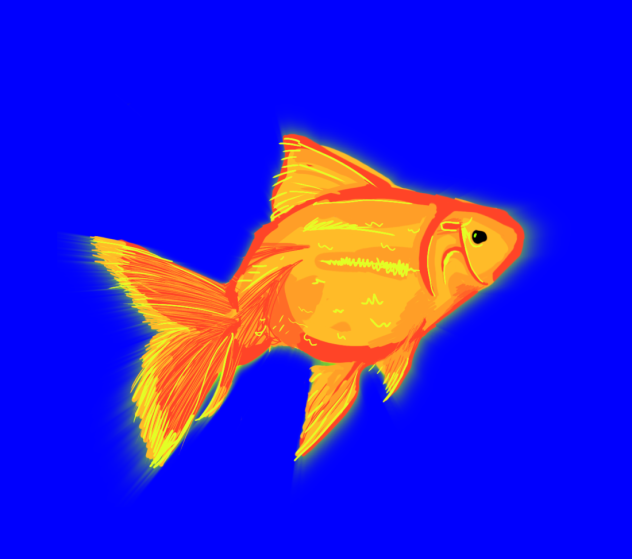goldfish - ibisPaint