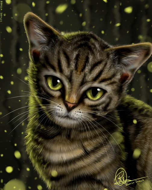 Cat and Fireflies - ibisPaint