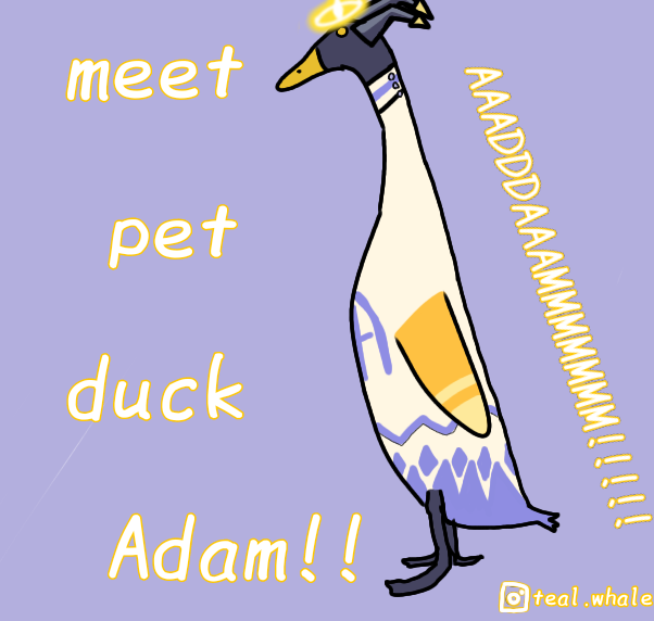 meet Adam the duck - ibisPaint
