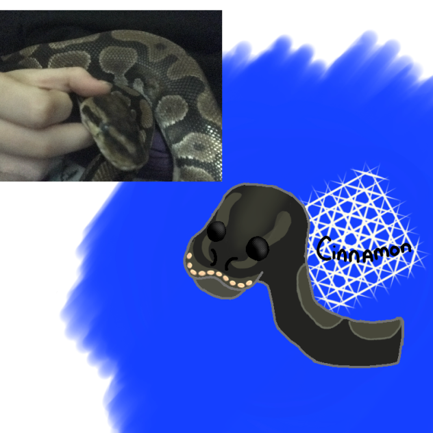 Cinnamon Ball Python - ibisPaint