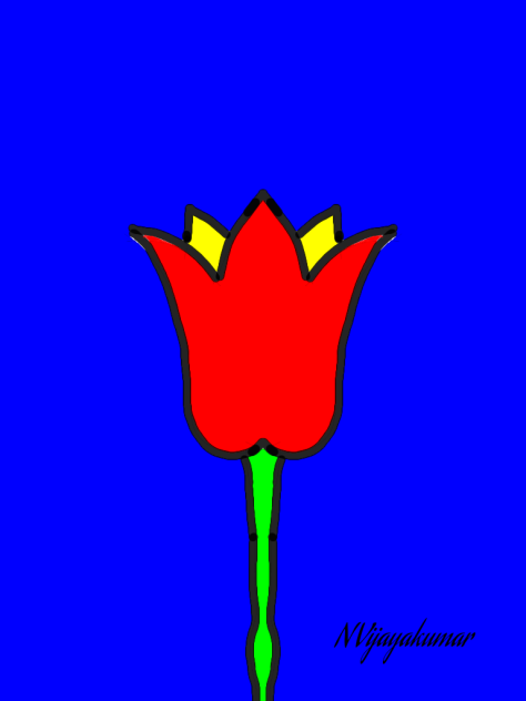 Tulip Flower. - ibisPaint