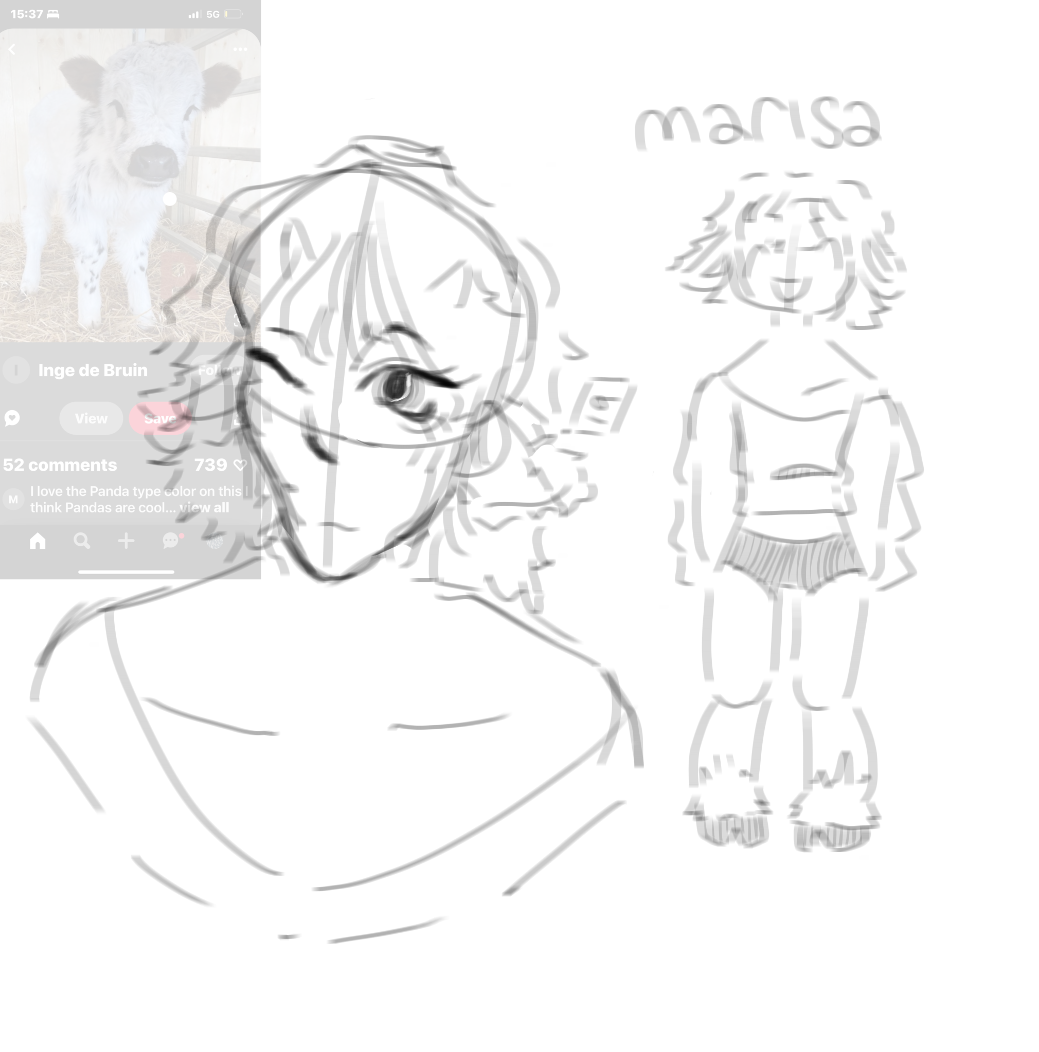 Untitled148 - ibisPaint