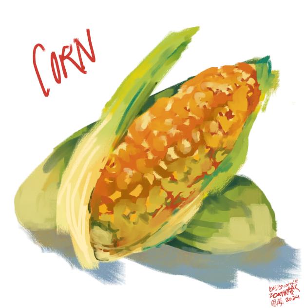 205 corn - ibisPaint