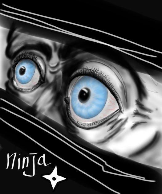 Ninja - ibisPaint