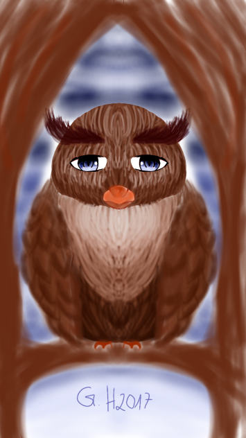 Owl - ibisPaint