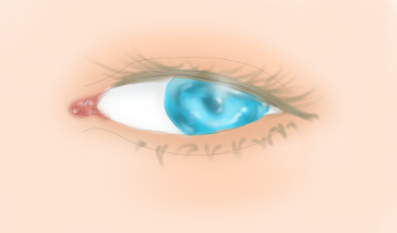 oeil bleu_bleue eye - ibisPaint