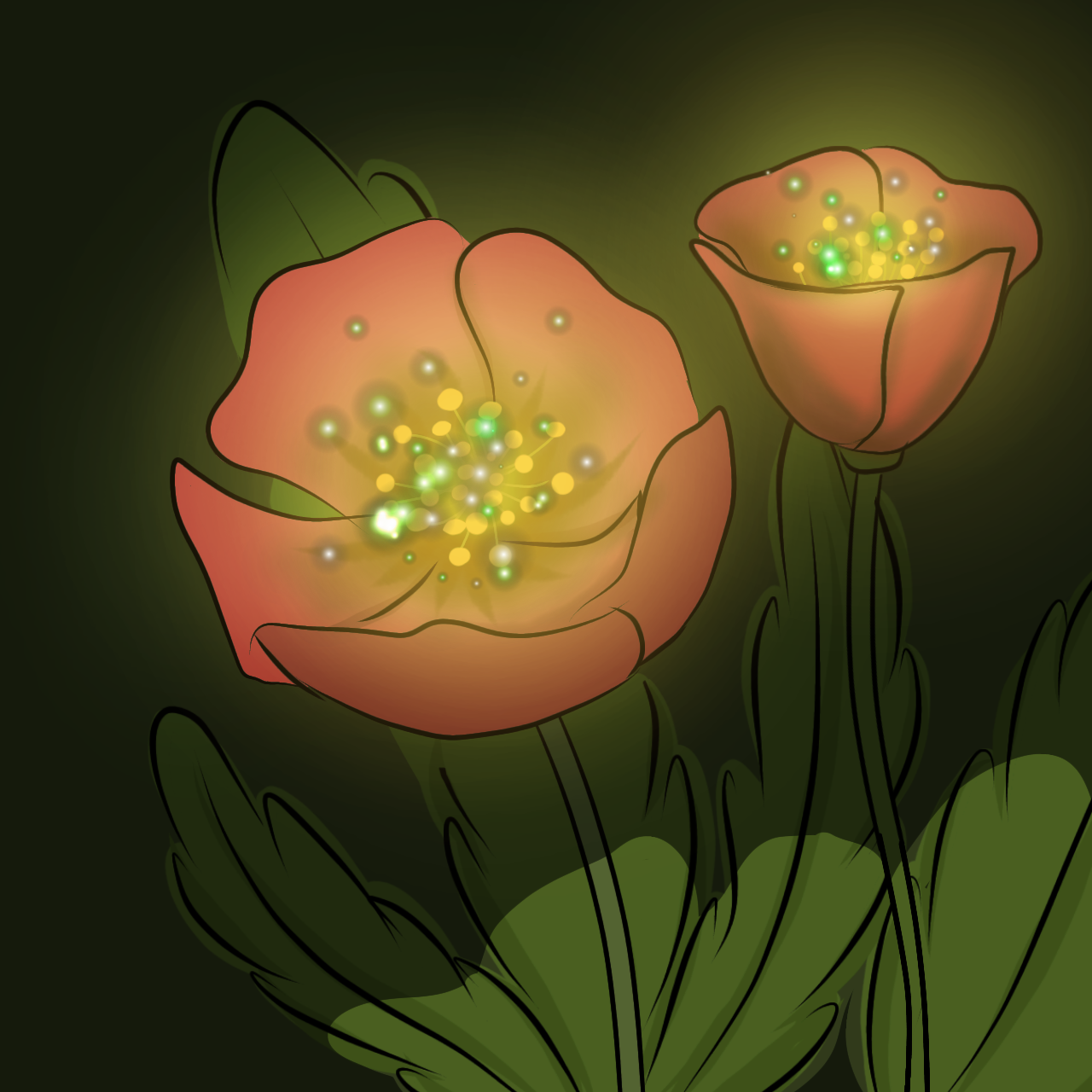 Bunga malam - ibisPaint