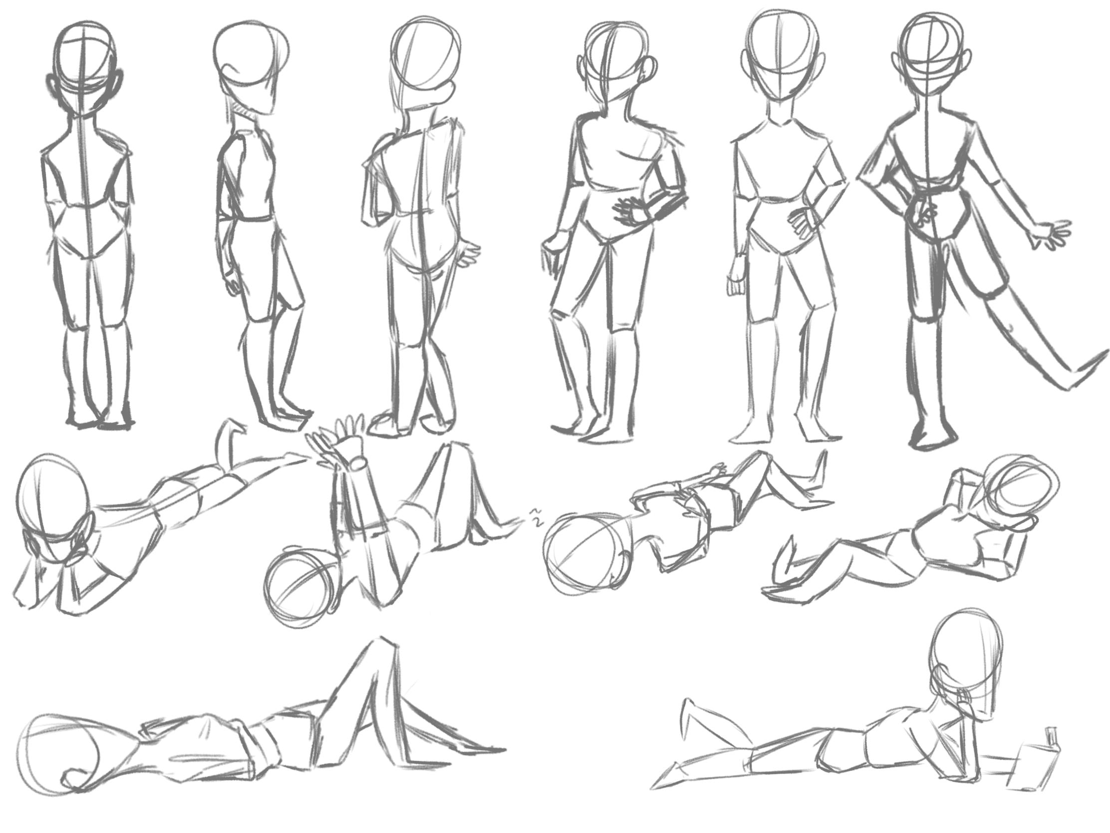 Basic Anatomy - ibisPaint