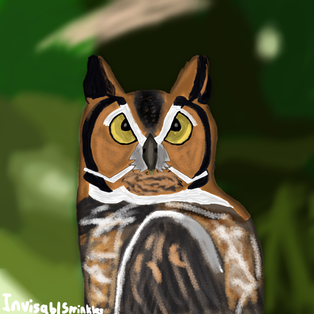 Great Horned Owl - ibisPaint