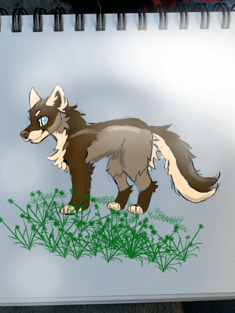 Lil wolf doodle - ibisPaint