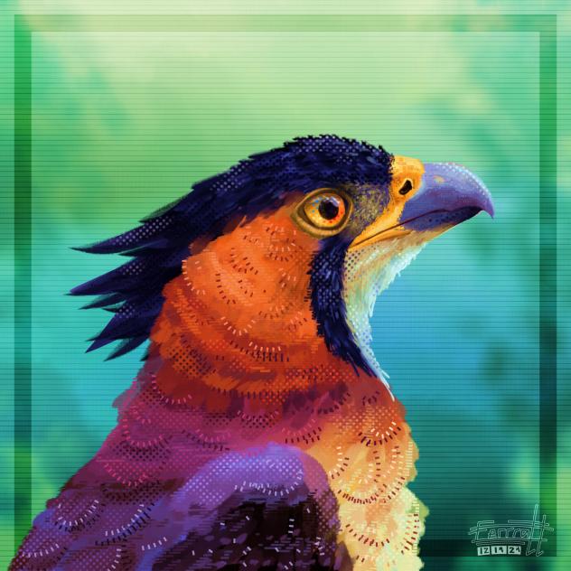 Bird - ibisPaint