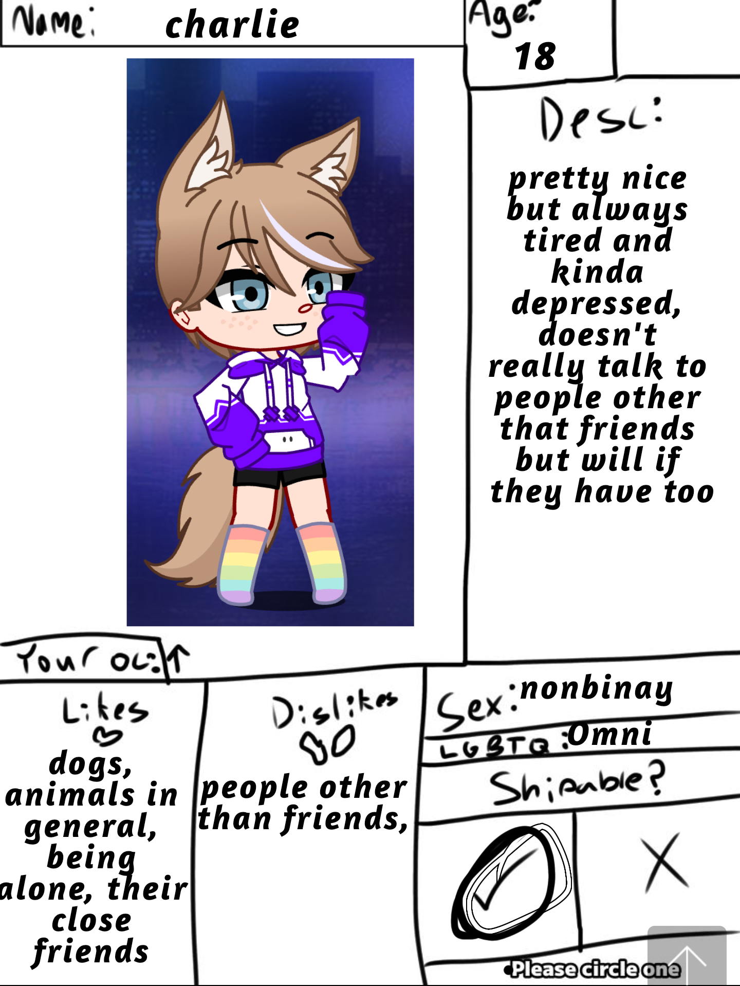 charecter sheet - ibisPaint