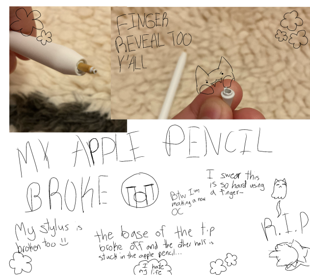 MY APPLE PENCIL BROKE + finger reveal - ibisPaint