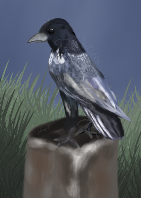 ^ Night Flake ^ - ibisPaint