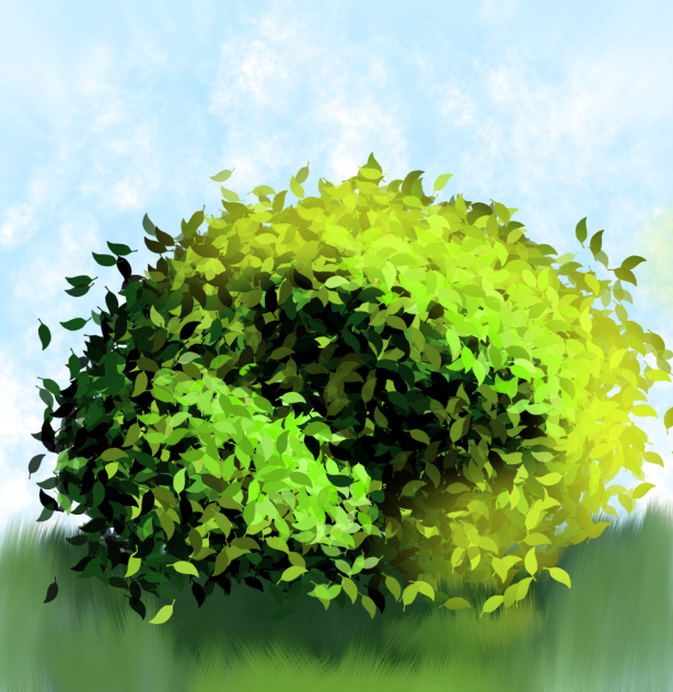 Bush - ibisPaint