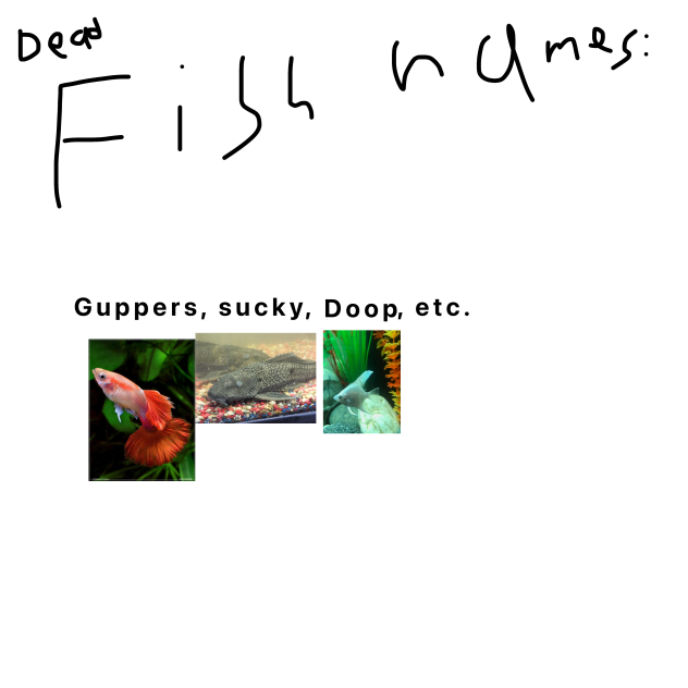 My dead fish - ibisPaint