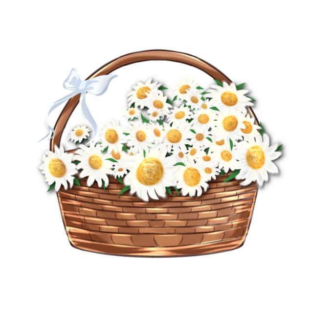 Daisy basket flower - ibisPaint