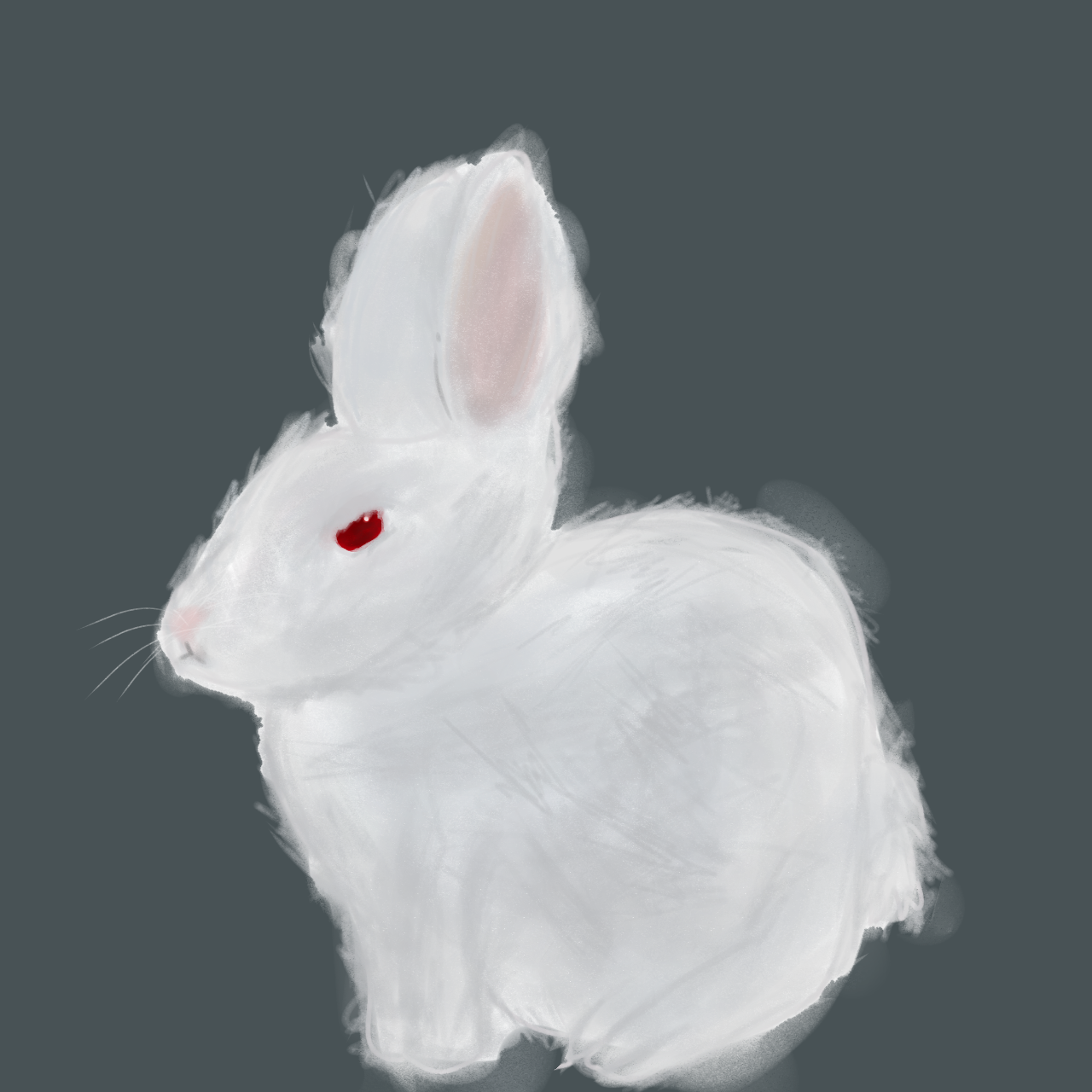 Rabbit - ibisPaint