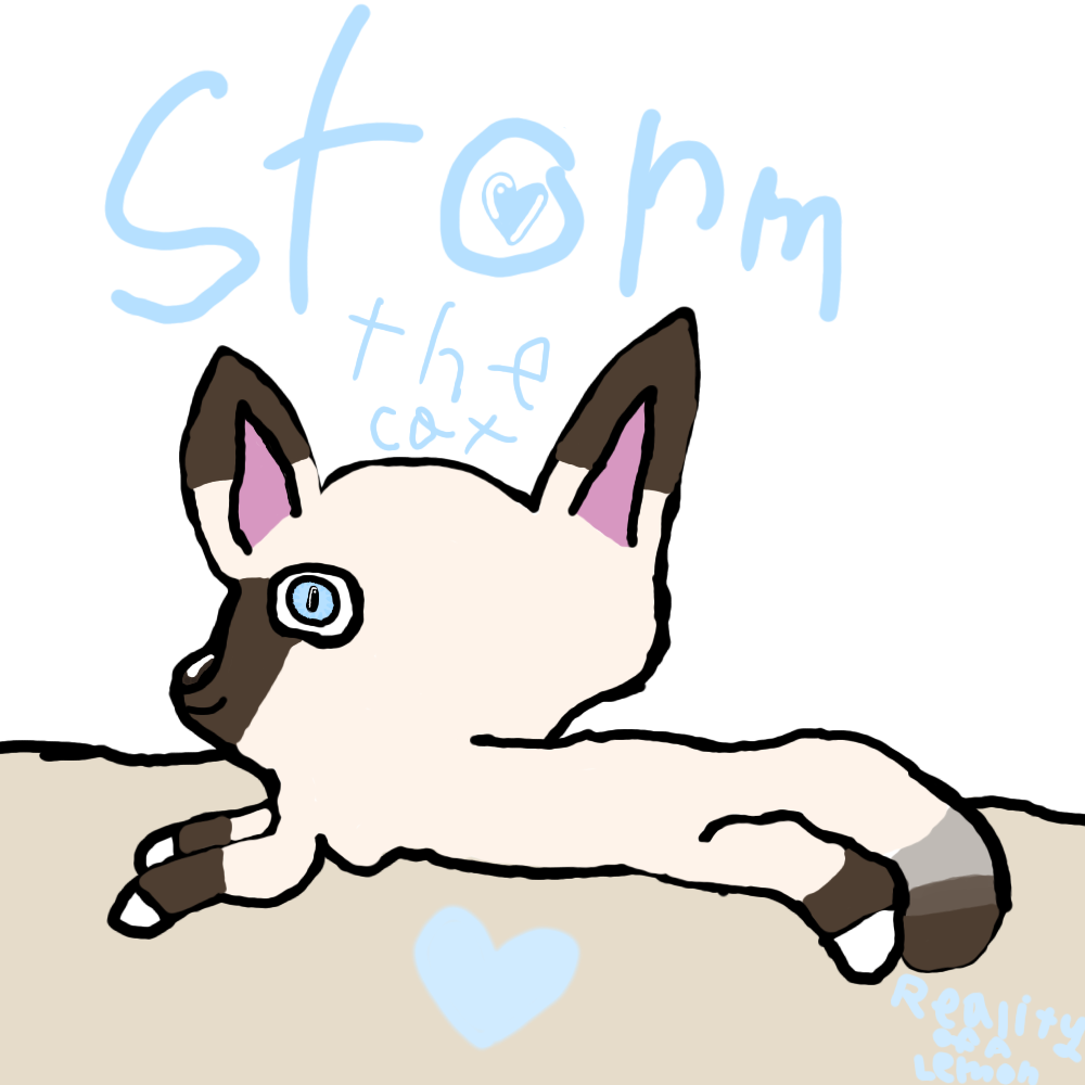 Storm The Cat - ibisPaint