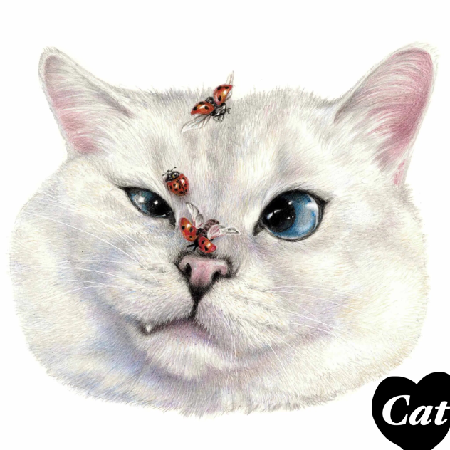 Cat with ladybugs 🐞 - ibisPaint