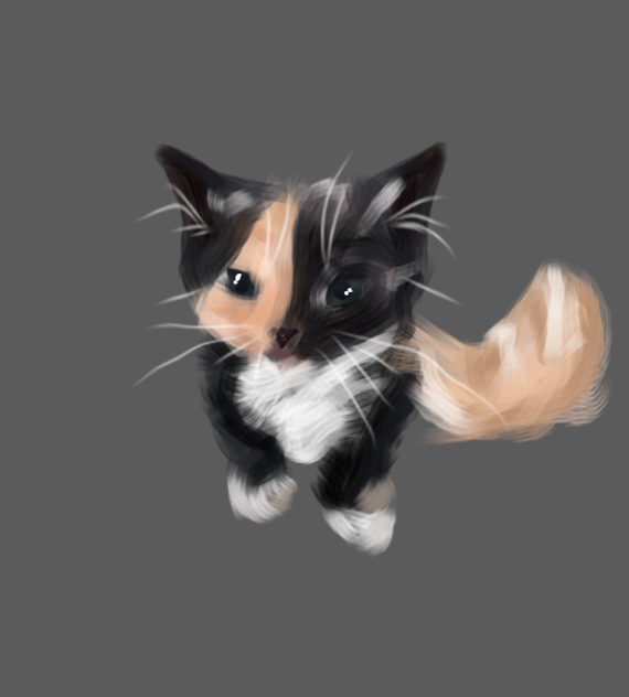kitty!! - ibisPaint
