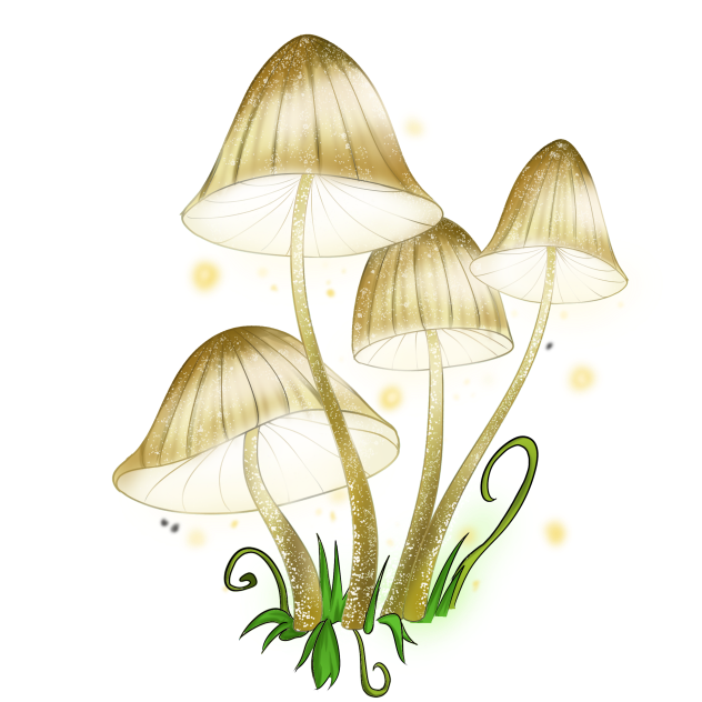 Mushroom 4 - ibisPaint