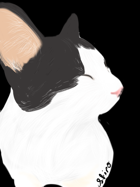 Shiro - ibisPaint