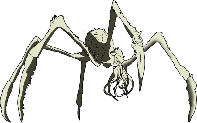 titanus scylla - ibisPaint