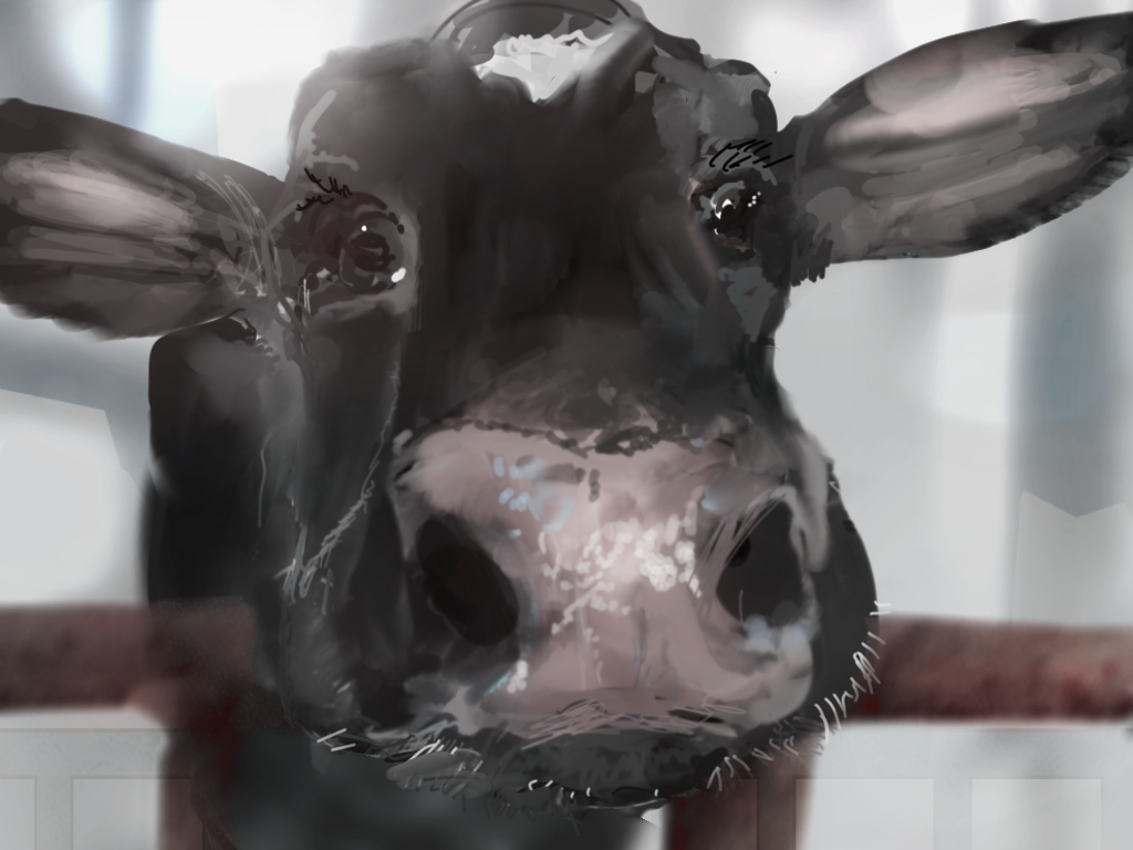 cow - ibisPaint