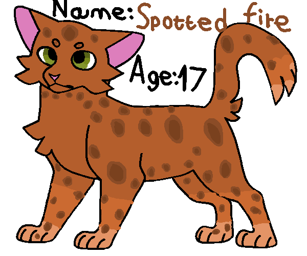 Spotted fire warrior cat - ibisPaint