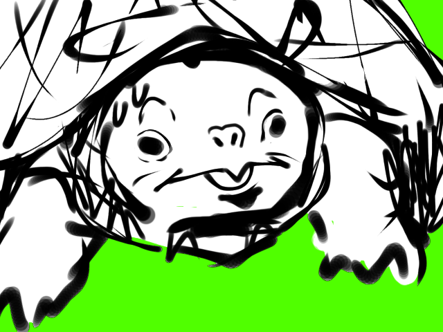 Turtle spin - ibisPaint