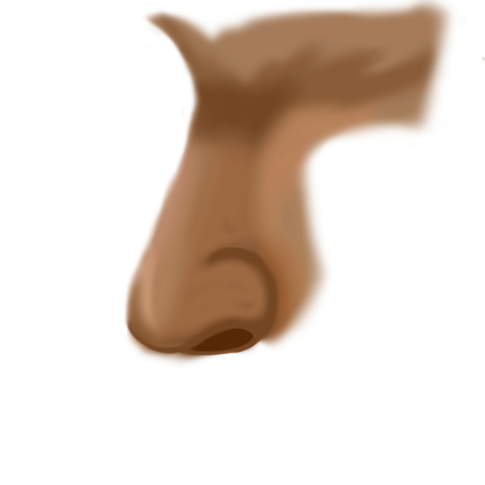 Nose practice 2 - ibisPaint