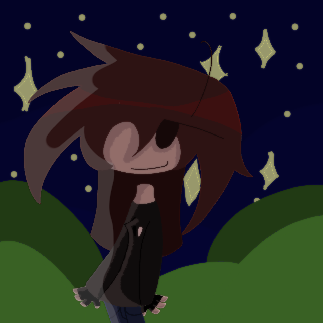 starry night - ibisPaint