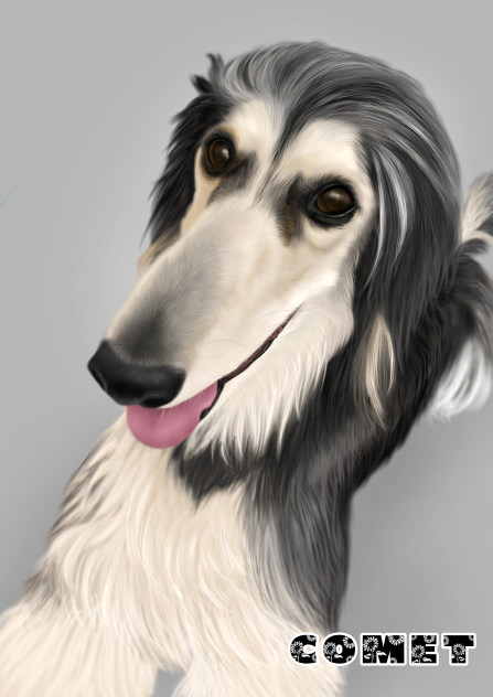 Afugan hound dog - ibisPaint