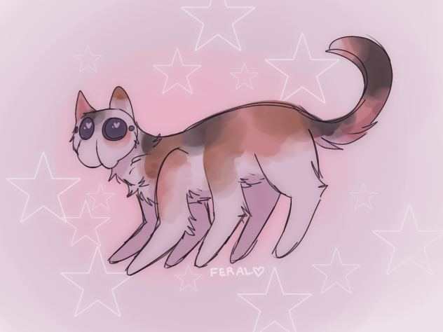 ♡SPIDER CAT♡ - ibisPaint