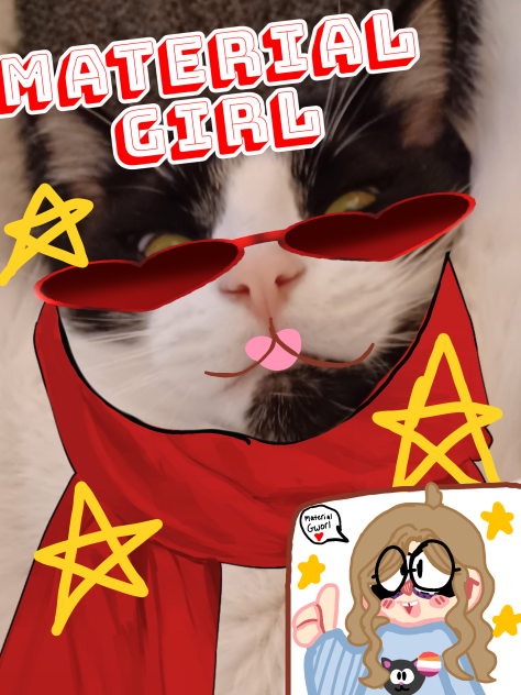MATERIAL GIRL cat - ibisPaint