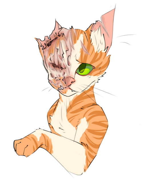 Brightheart 🌿 - ibisPaint