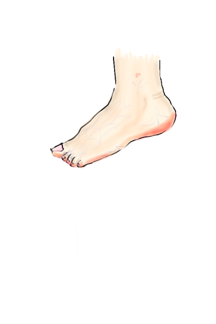 Foot - ibisPaint