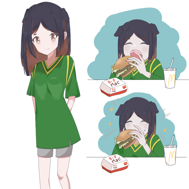 doge_misa - ibisPaint