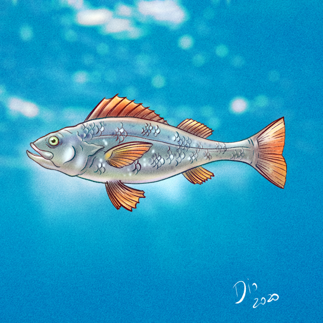 Peixe Fish - ibisPaint