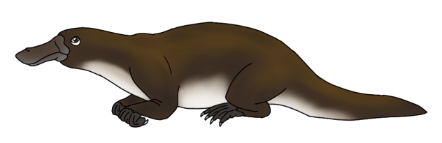 Obdurodon tharalkooschild - ibisPaint